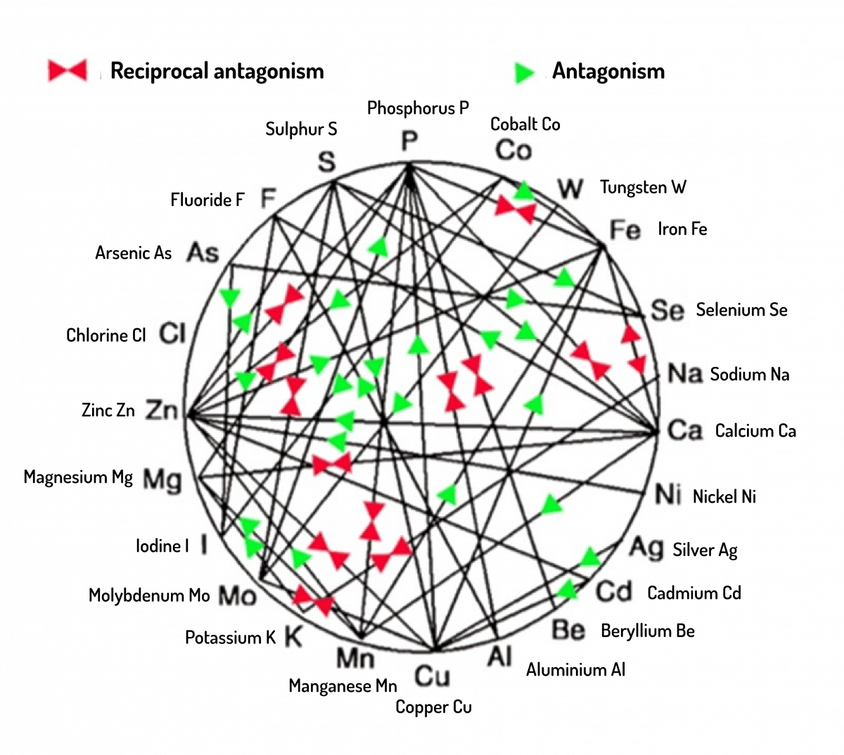 The importance of feed supplements for cattle. - Difagri