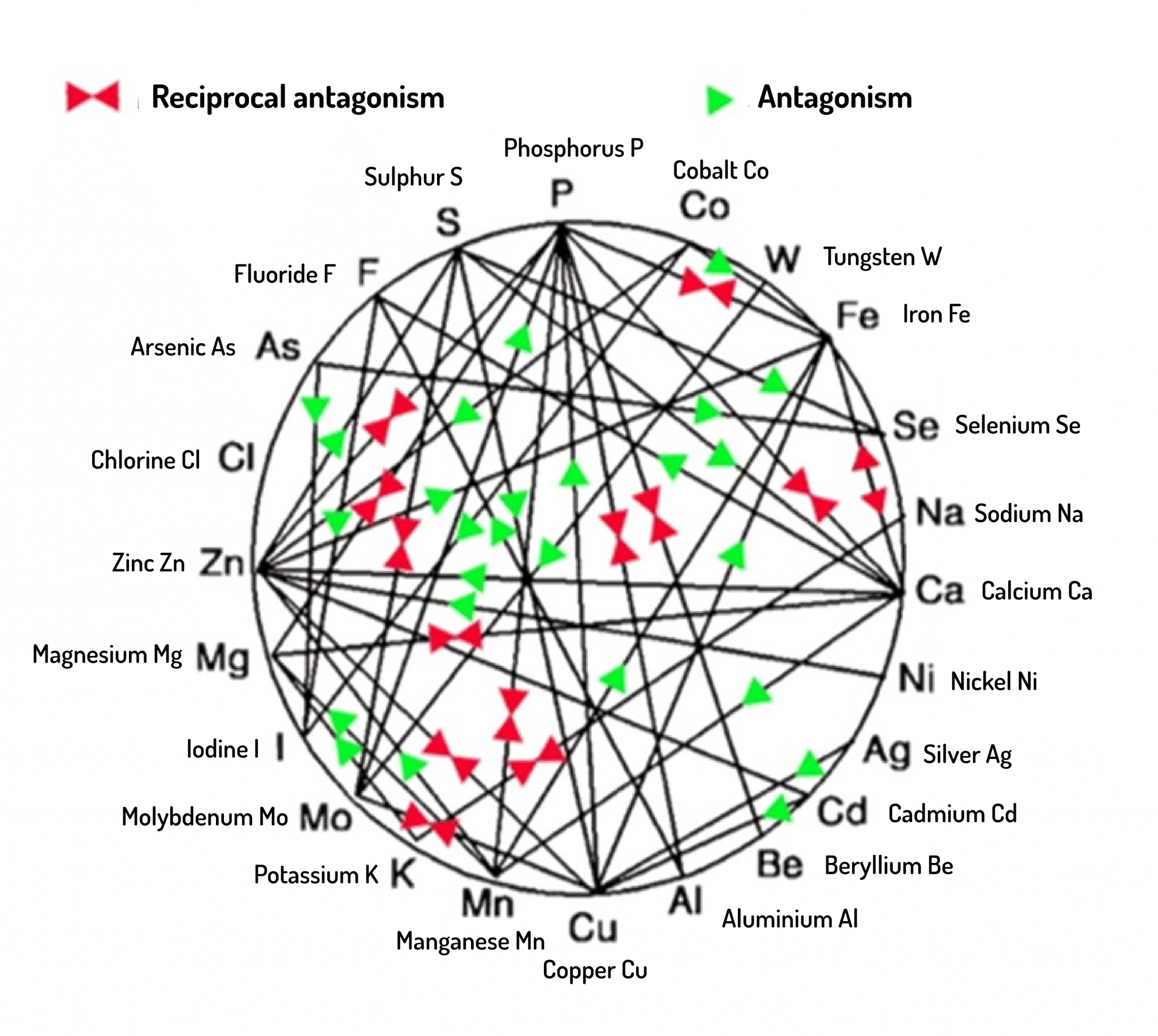 The importance of feed supplements for cattle. - Difagri