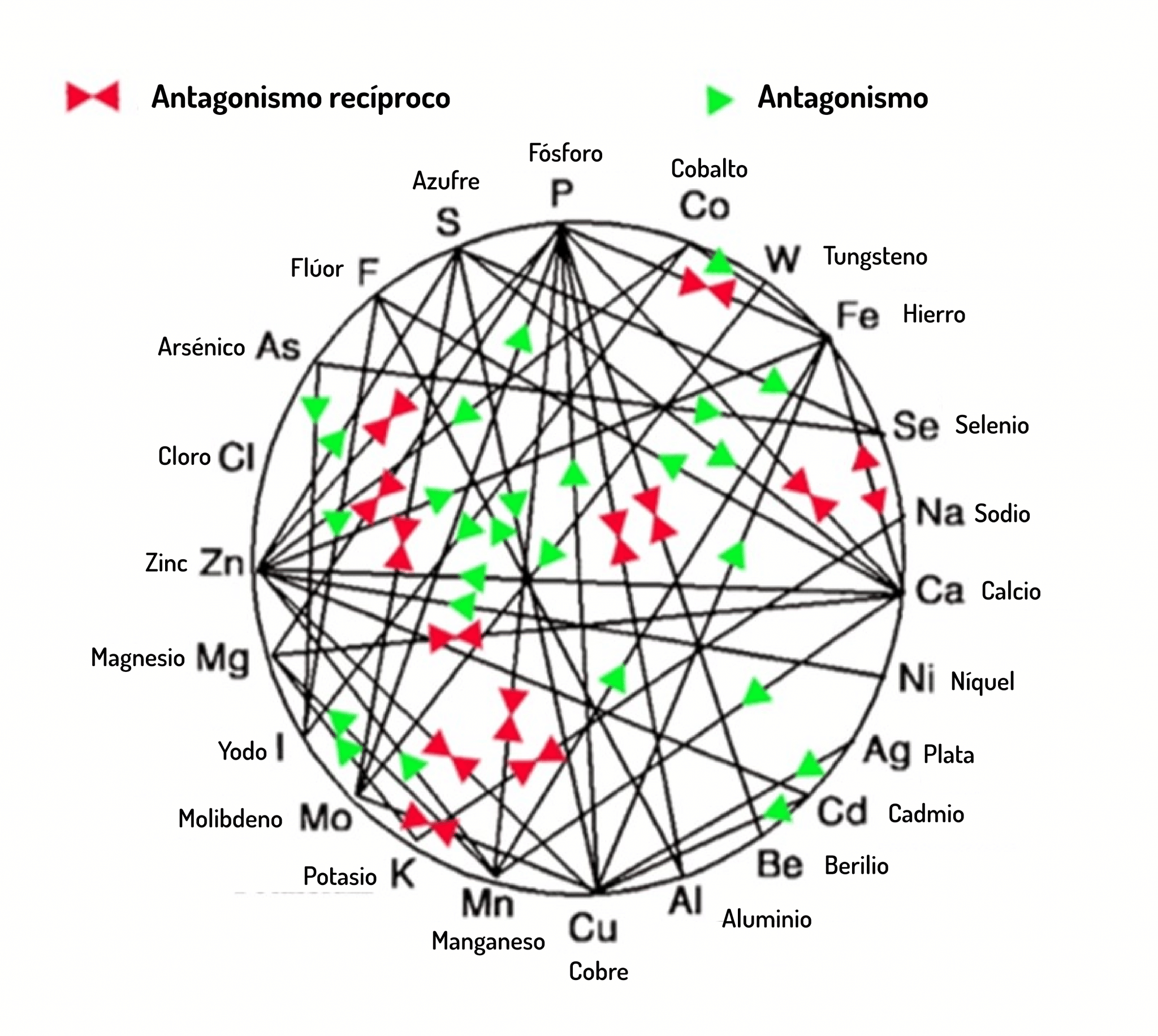 La importancia de los complementos alimentarios para los bovinos en la ganadería. - Difagri
